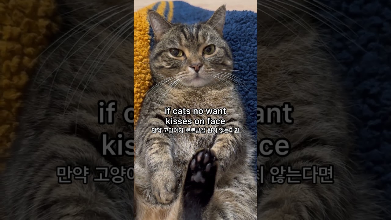 Please answer me! #shorts - YouTube