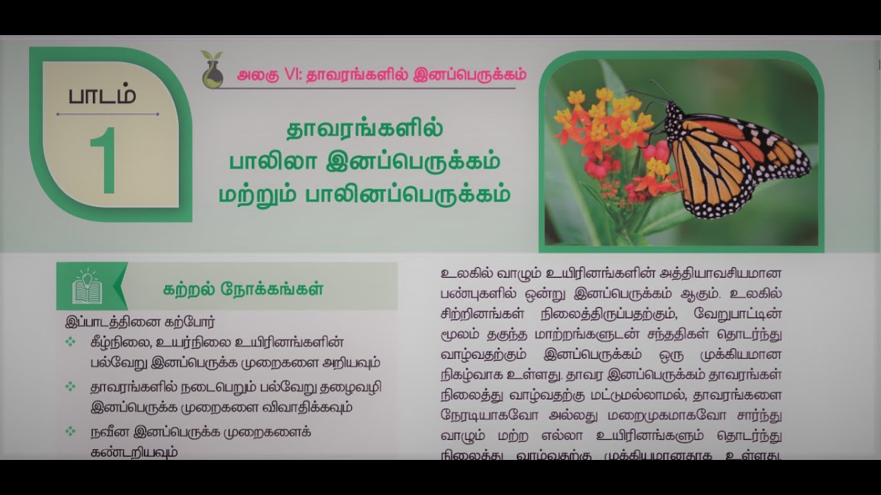 12th Bio Botany Chapter 1 Important Questions In Tamil YouTube 12th-bio-botany-chapter-1-important-questions-in-tamil-youtube