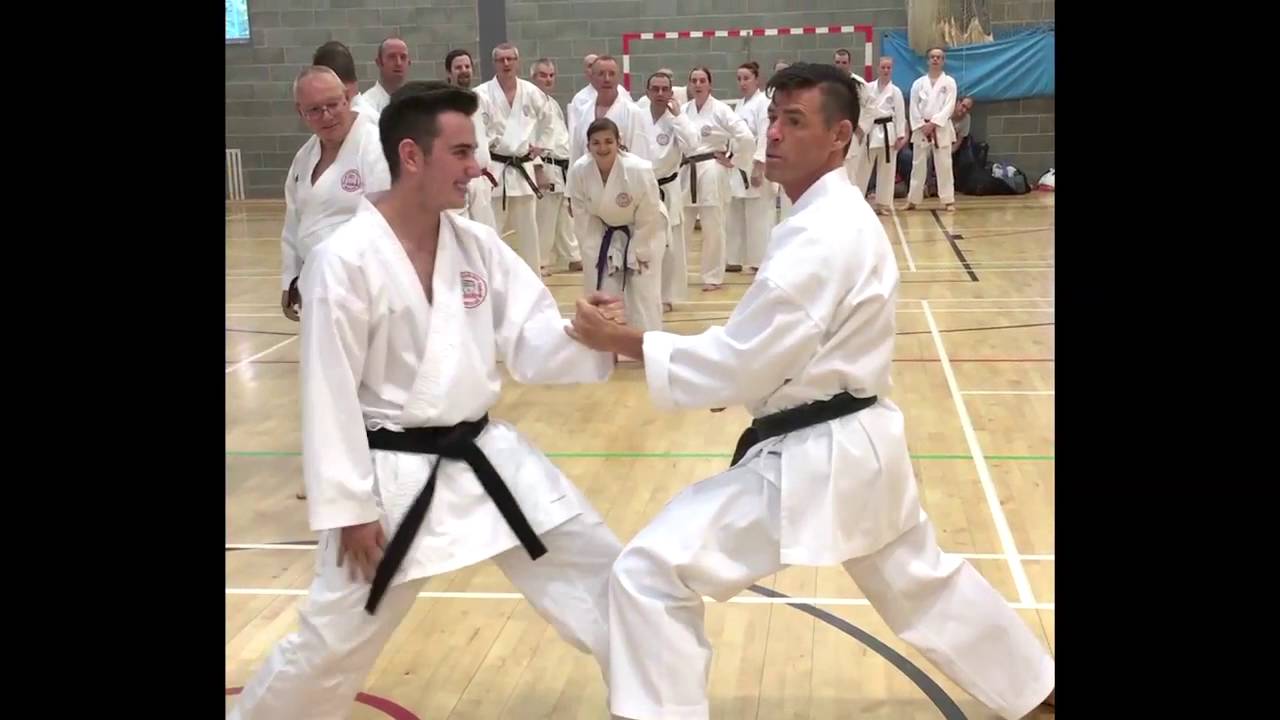 Stance development drills (Sanchin, Neko Ashi Datchi, Zenkutsu dachi ...