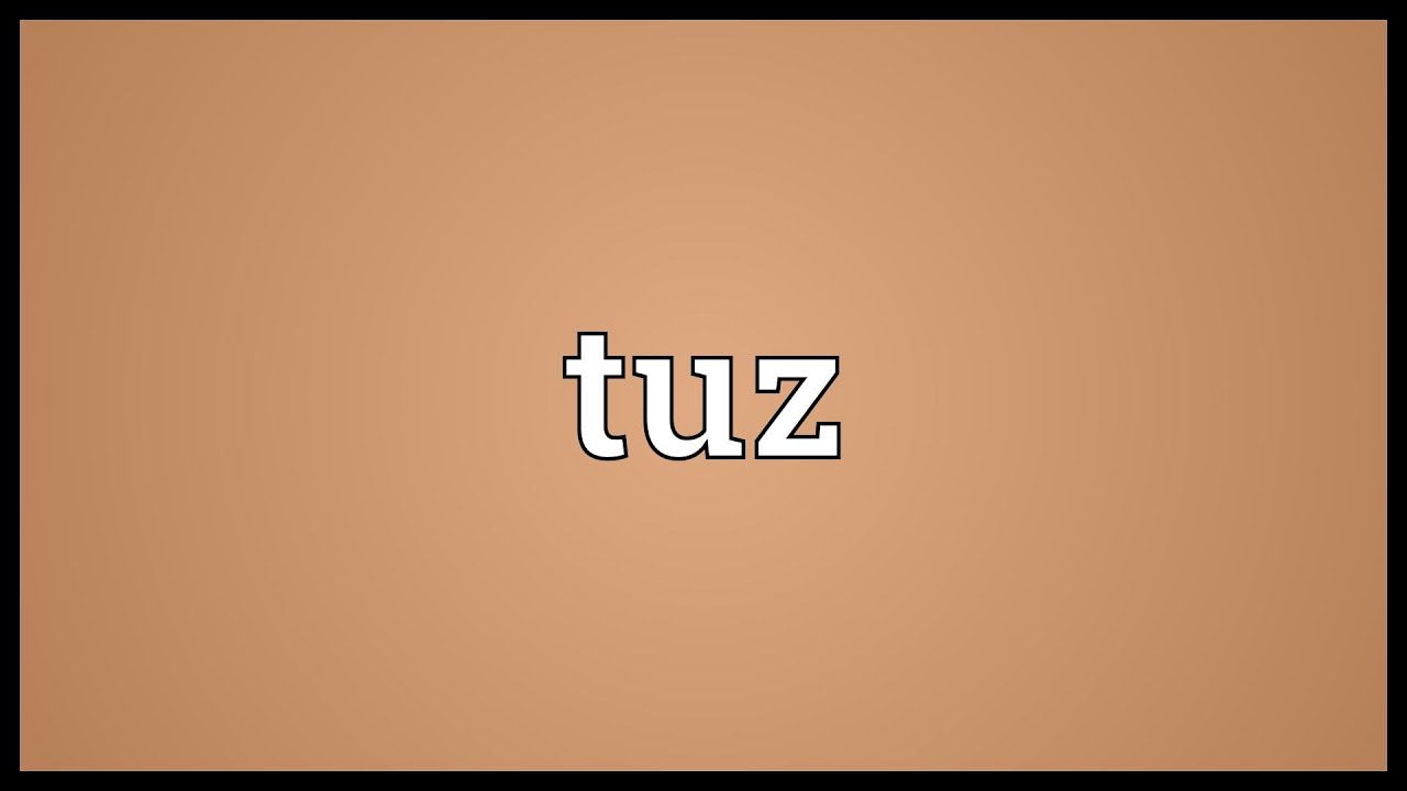 Tuz Meaning - YouTube