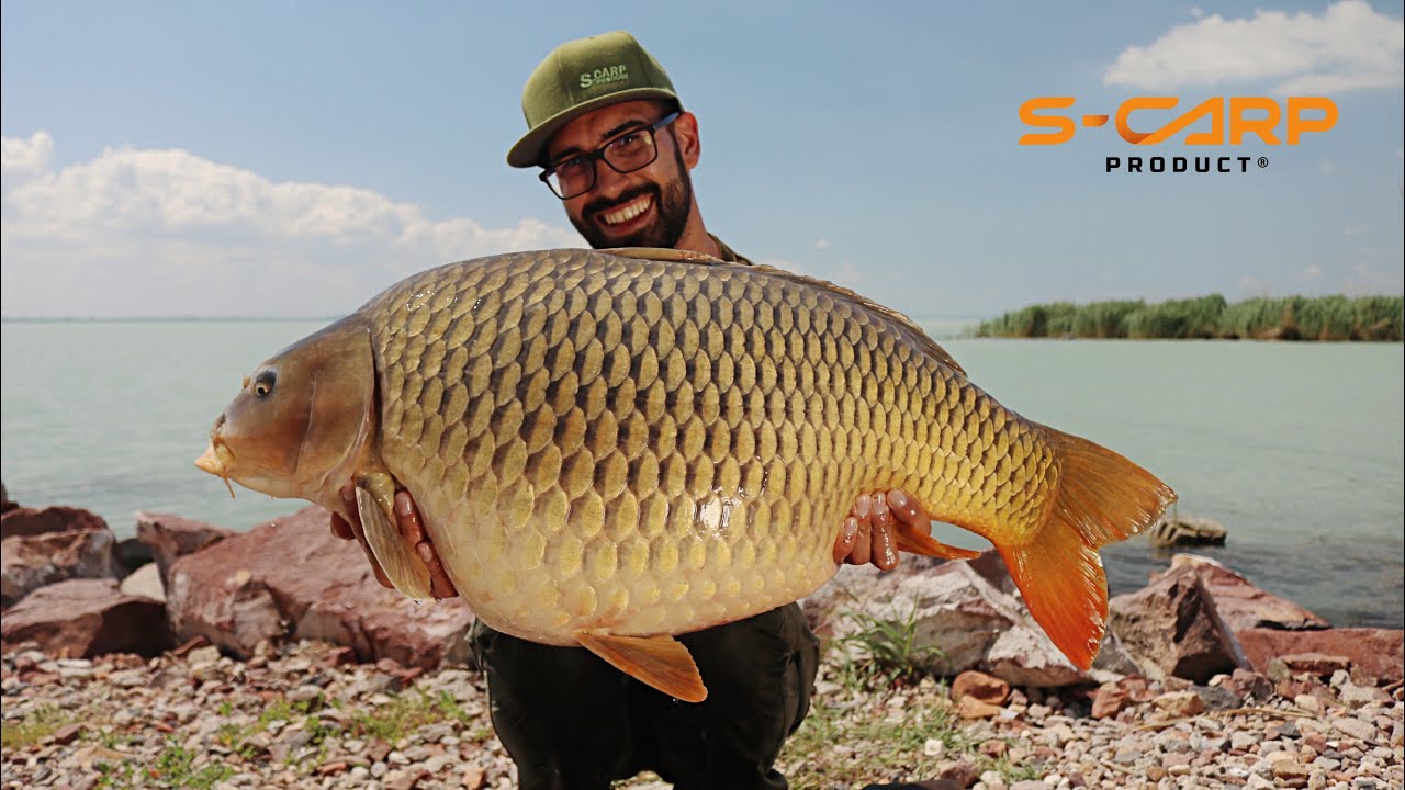 S-carp Product Balaton carp fishing trailer - YouTube