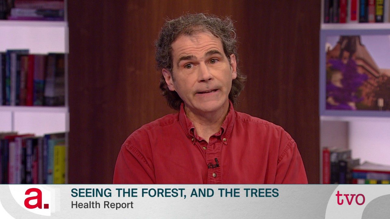 Seeing the Forest, and the Trees - YouTube