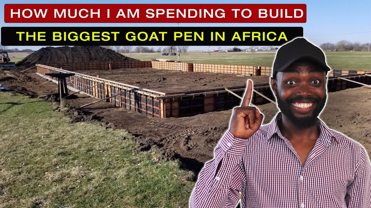 COST OF BUILDING THE BIGGEST MODERN GOAT PEN IN AFRICA - YouTube