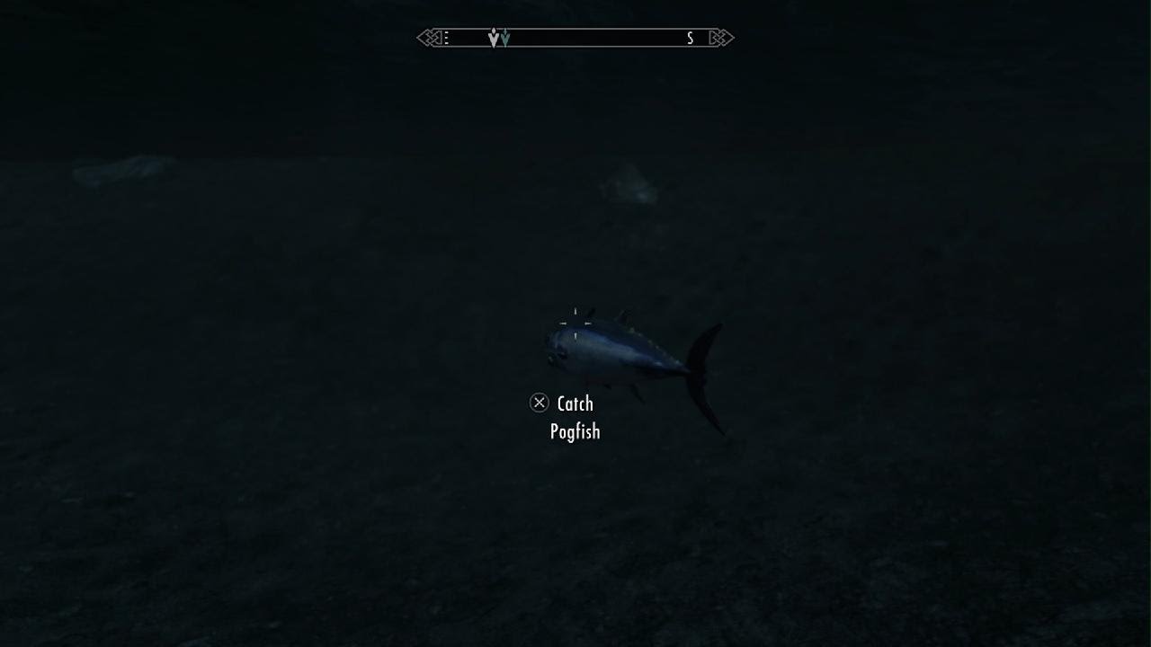 Where to Get Pogfish in Skyrim - YouTube