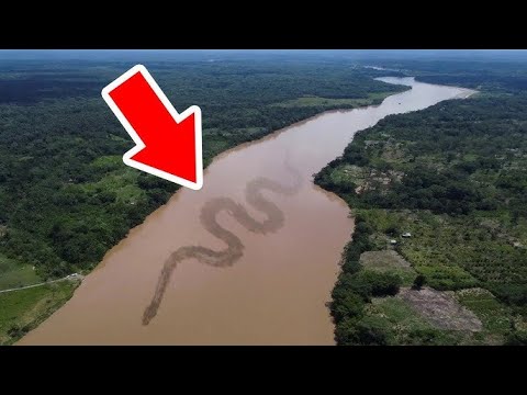 The Hidden Dangers of the Amazon Jungle - YouTube