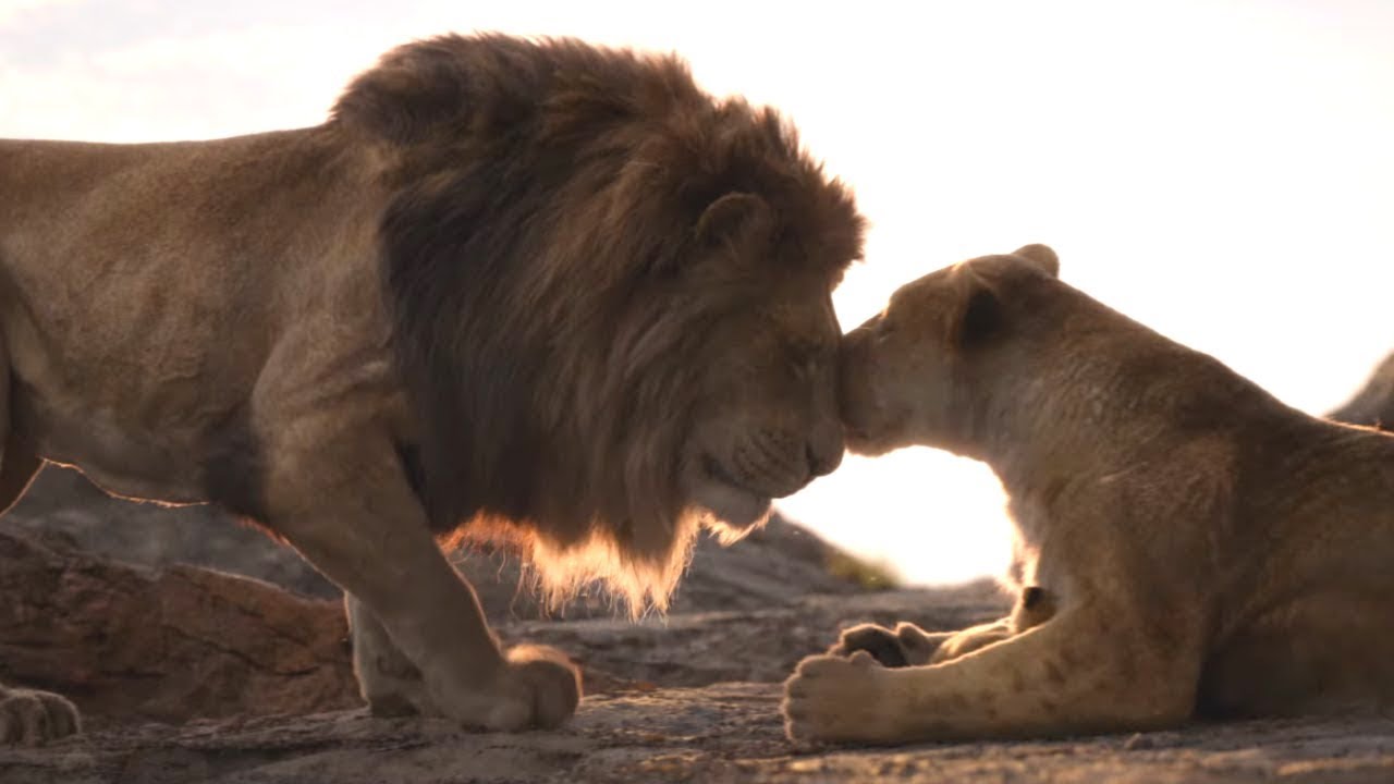 The Lion King | Protect the Pride - YouTube