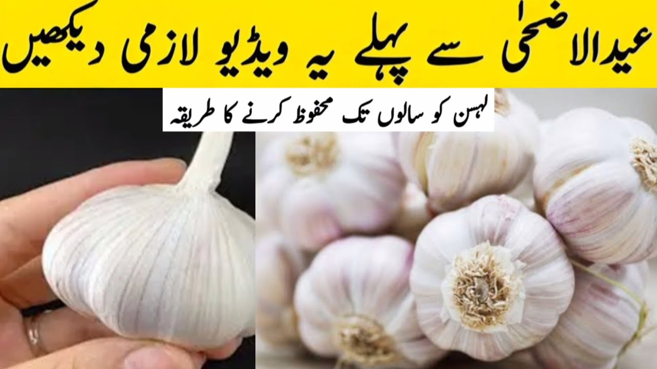 Smartly Save Ur Money & Time with 1 Thing 😱 How to Store Garlic for a ...