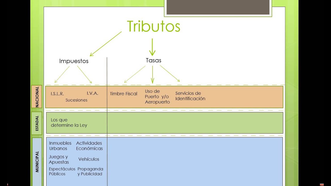 Los tributos y su clasificación en Venezuela - YouTube