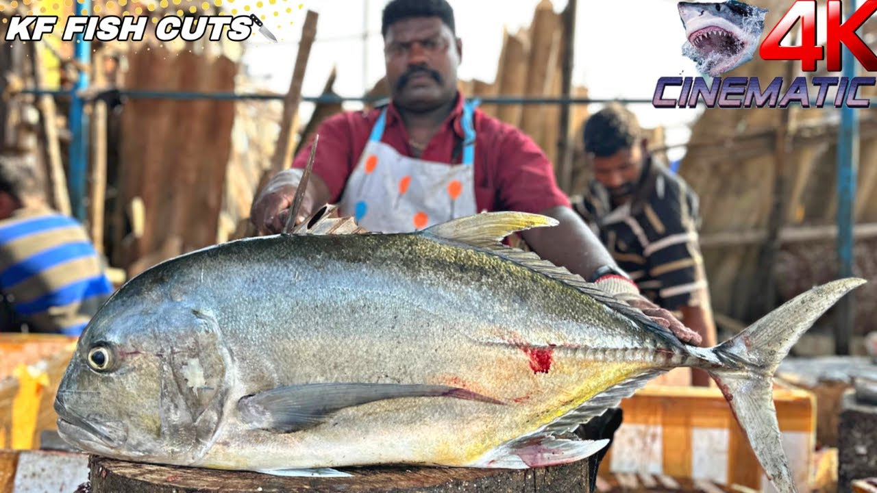 22 KG TREVALLY FISH KNOCKOUT SPEED🔪KASIMEDU SELVAM FASTEST FISH CUTTING ...