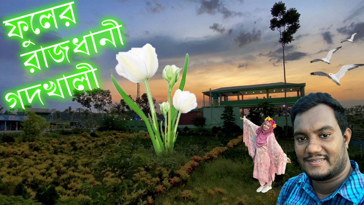 ফুলের রাজধানী গদখালী | Godkhali Flower Garden, | Godkhali Flower Market ...