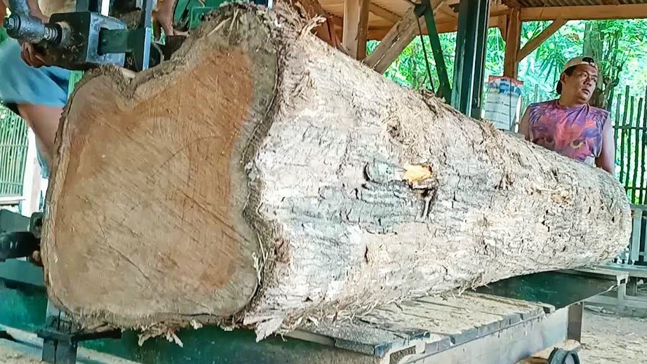 the process of chopping old teak wood is full of beautiful and majestic ...