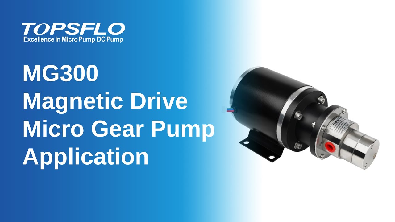 MG300 Magnetic Drive Gear Pump Uses | Applications - YouTube