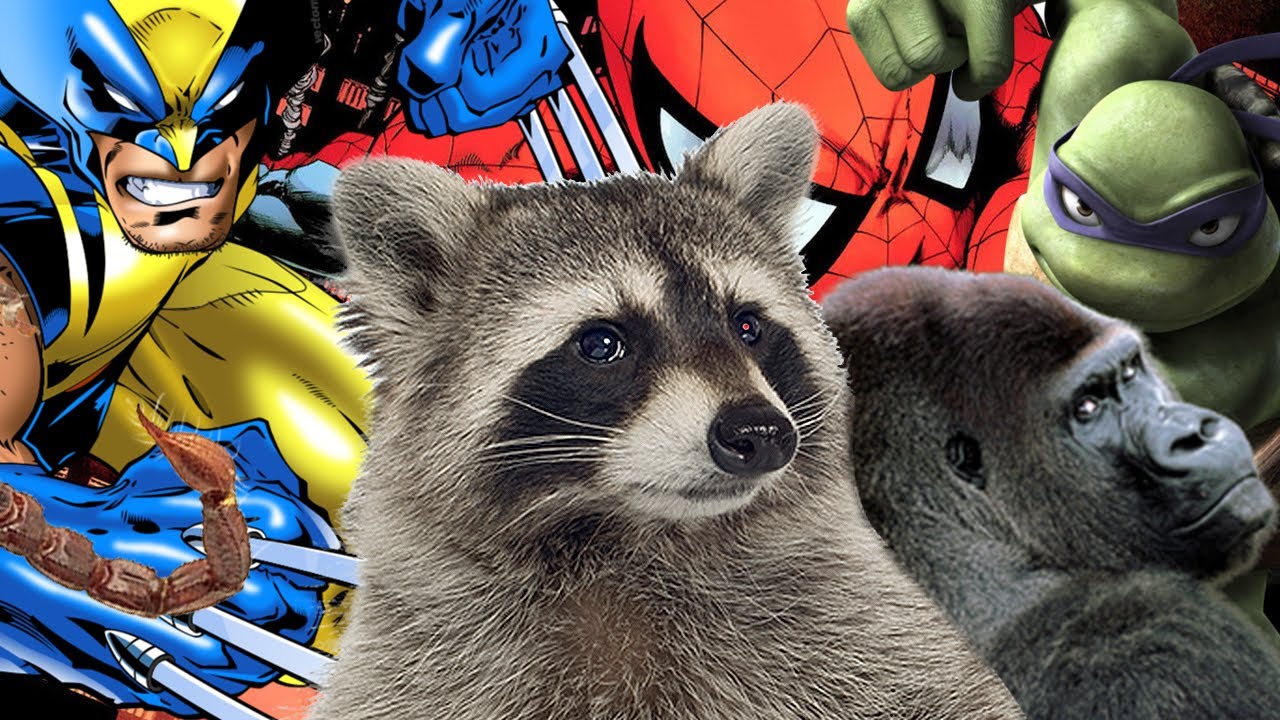 20 Comic Book Characters Inspired by Animals - YouTube