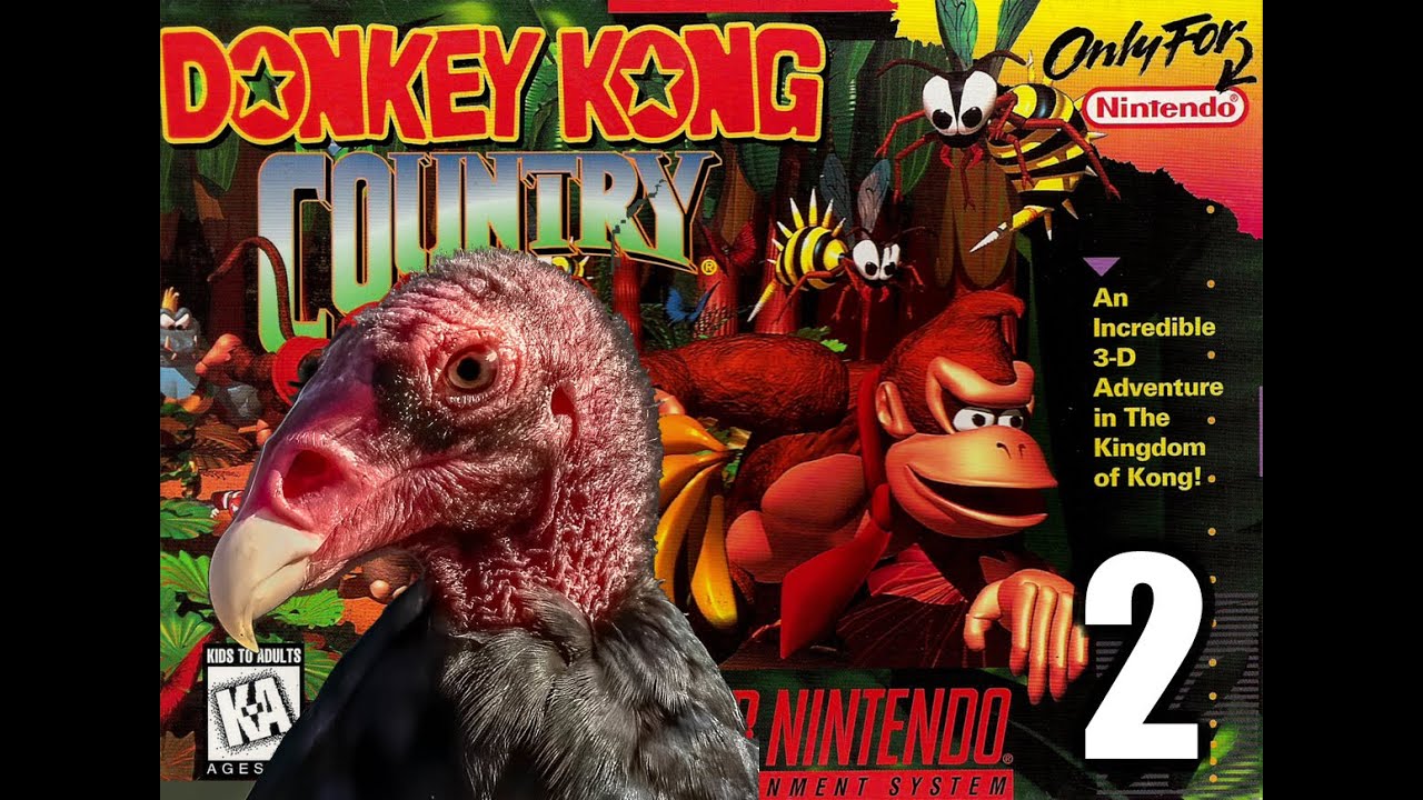 Donkey Kong Country - BIRD FACTS - YouTube