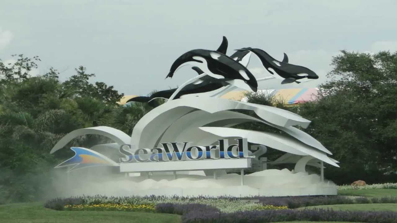 The Storm - Tilikum's Capture - YouTube