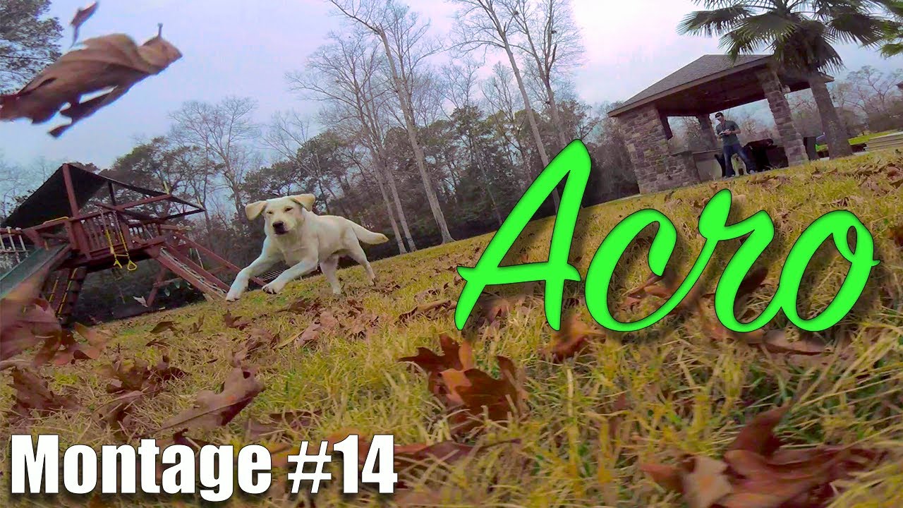 FPV Drone Montage - 'Acro' - YouTube