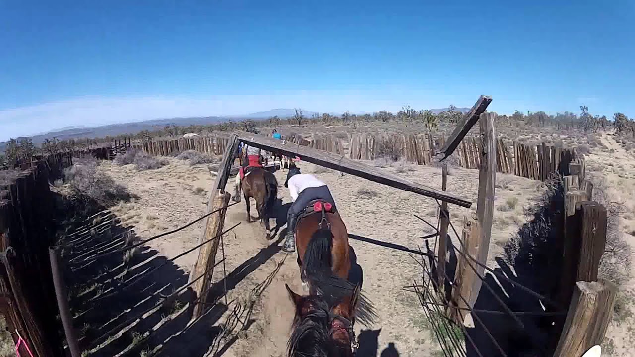 2016 Eastern Mojave Scenic Endurance ride - YouTube