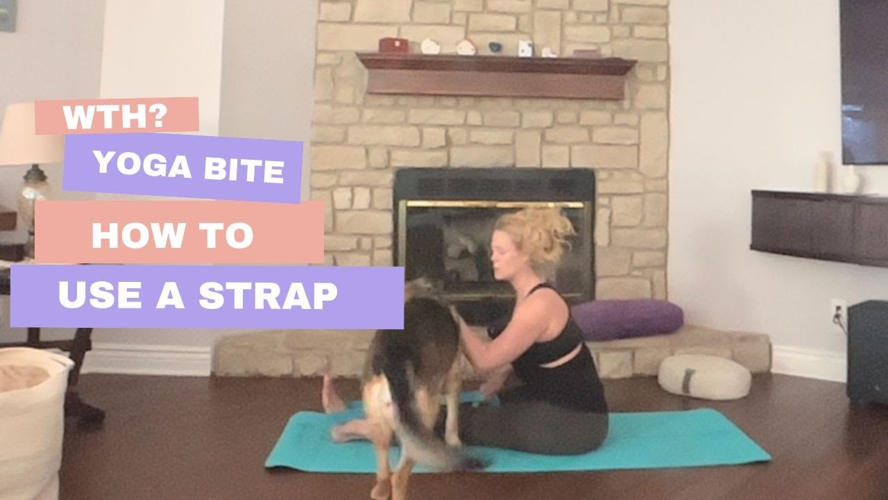WTH? Yoga Bite - How to use Yoga Straps - YouTube