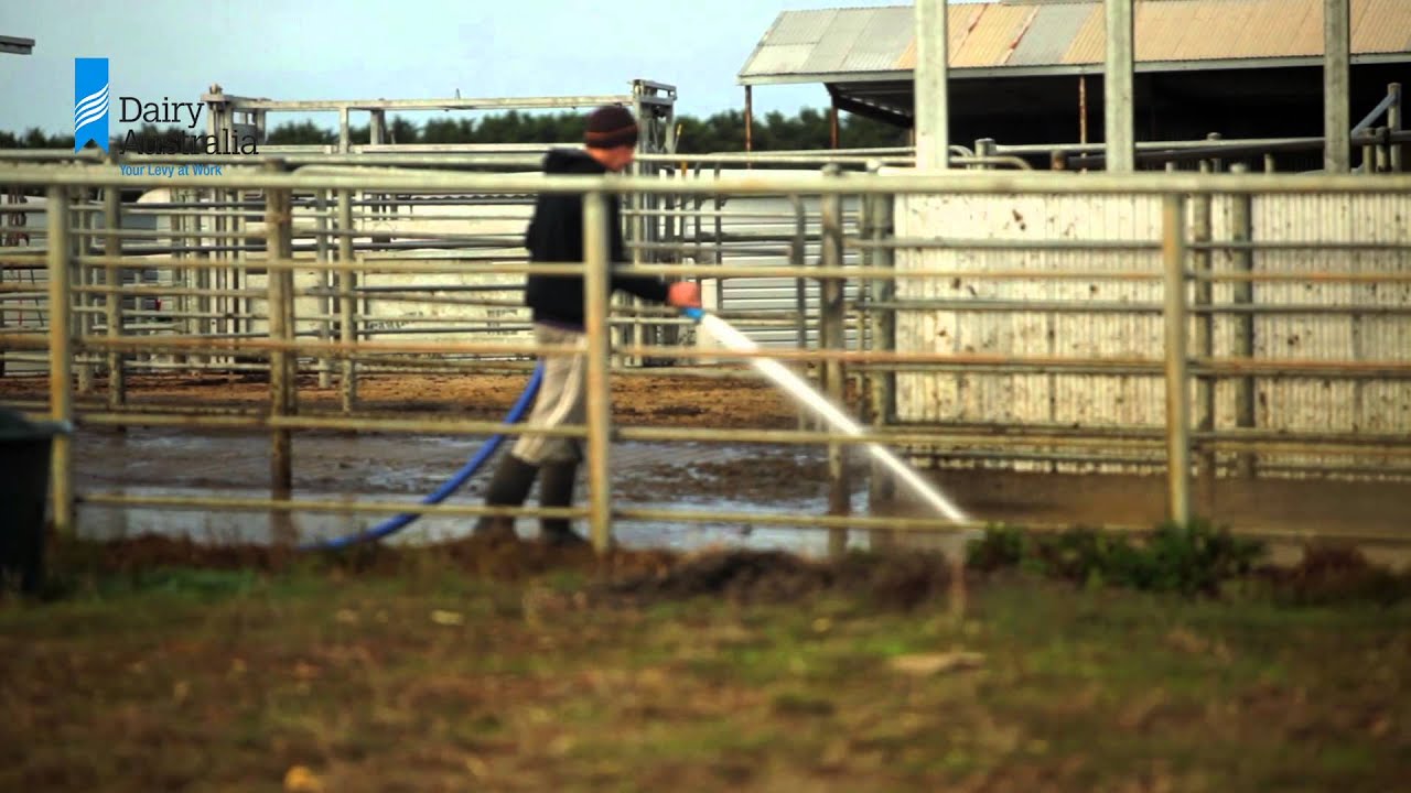 Managing effluent storage levels on dairy farms - YouTube