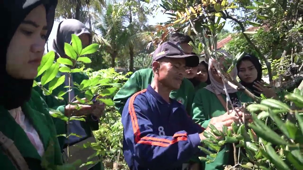 P4S Desa Pajajar Kecamatan Waled Kabupaten Cirebon - YouTube