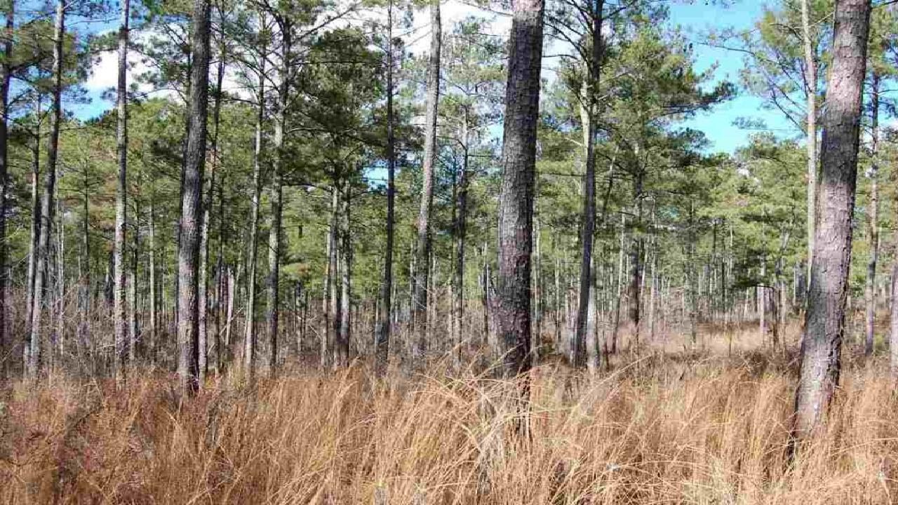 0 Highway 80, Lizella, GA Presented by George Emami. - YouTube