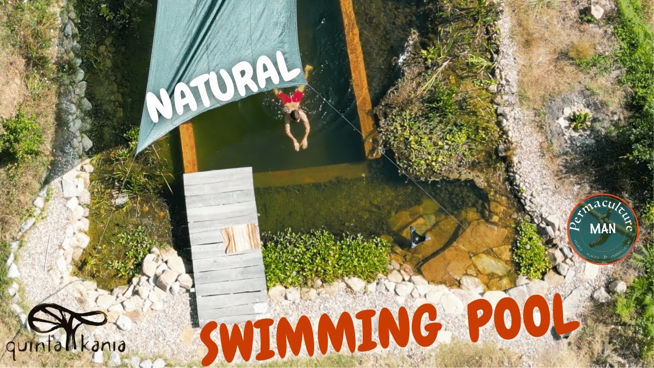 NATURAL SWIMMING POOL - #050 - YouTube