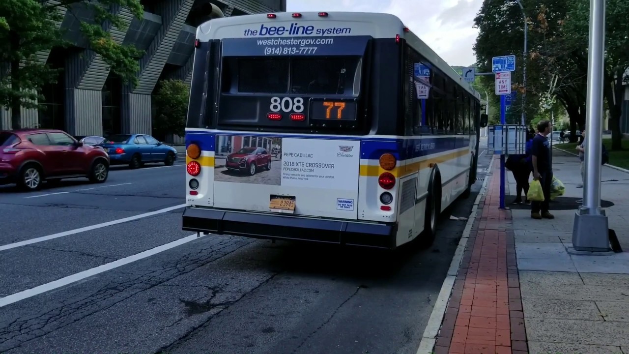 Bee-Line Bus: Various Bus Action @ Martin Luther King Blvd & Main ...