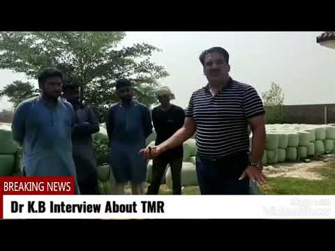 Dr KB interview about TMR | Silage | Corn silage | #drkb | Good news ...