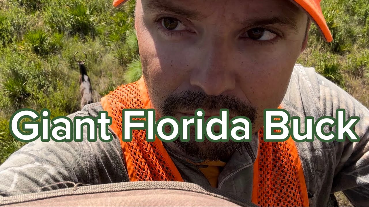 Big Florida Buck walks under hunters stand!!#deerhunting #bucks #woods ...