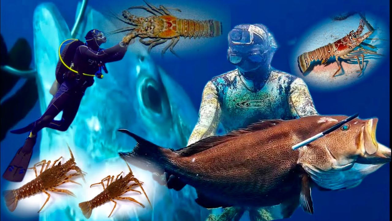 160ft deep sea spearfishing #trending #fish #lovefishing - YouTube