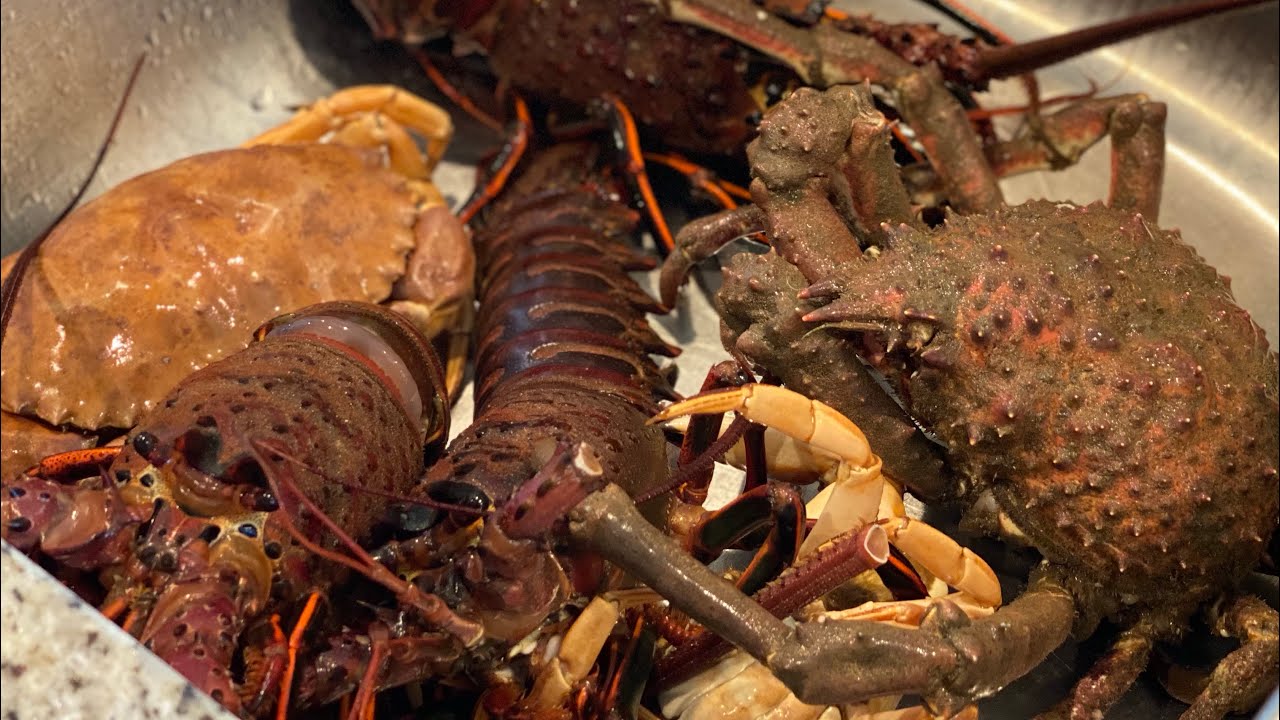 Spiny Lobster Hooping - CATCH, CLEAN, and COOK Ep. 1 - YouTube