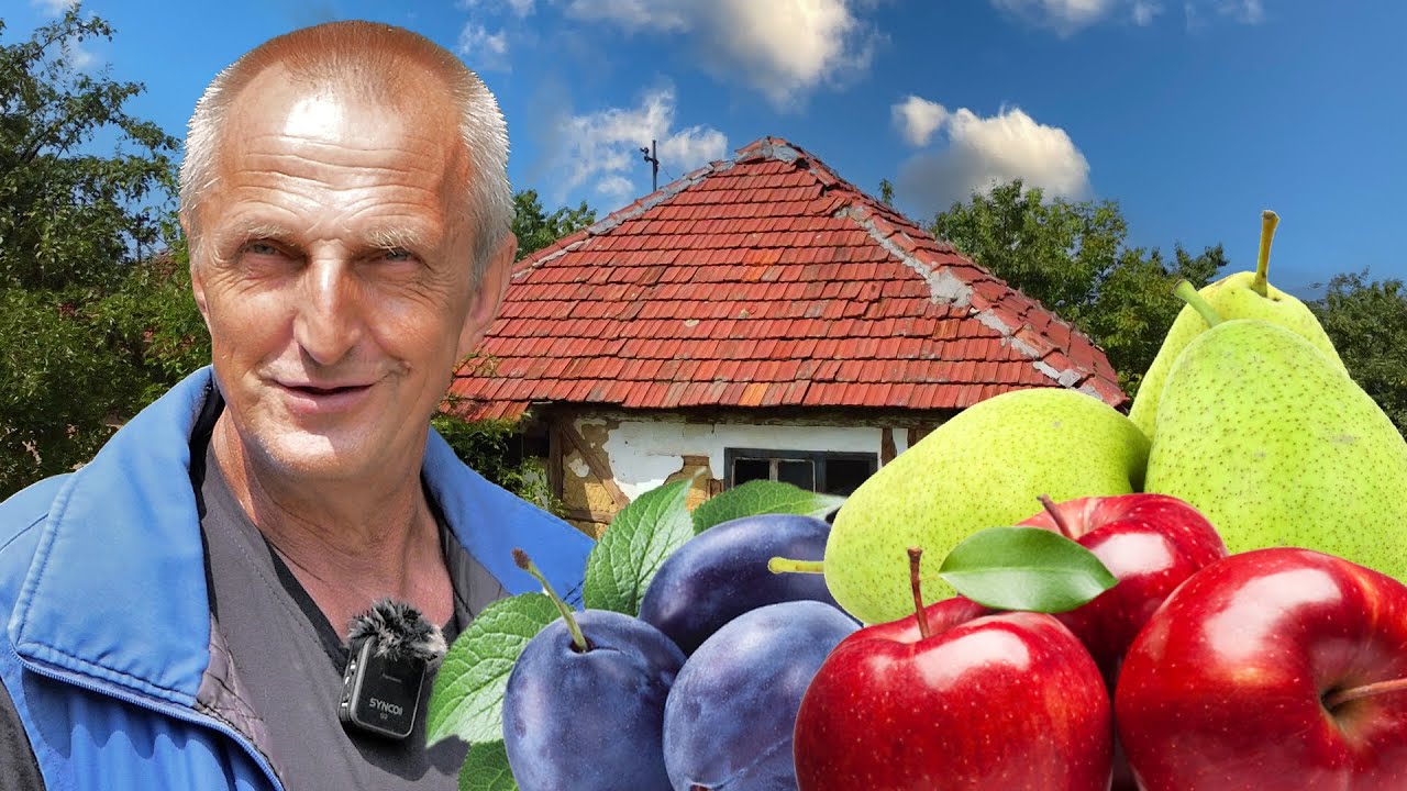 Selo u BiH vrijedno milione - YouTube
