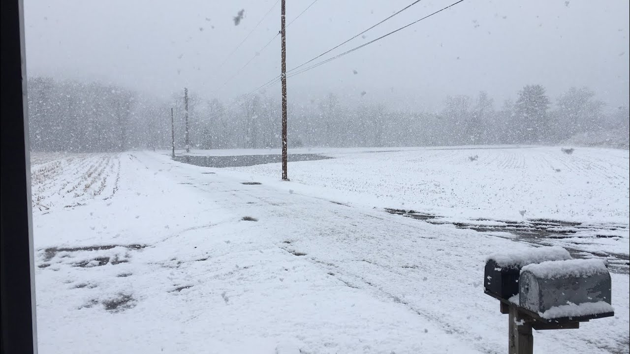 Snow is Back Live Stream - YouTube