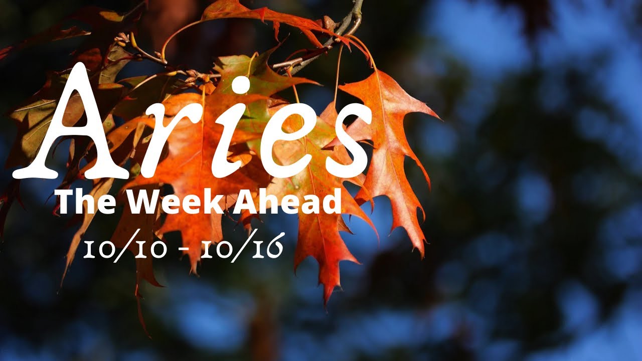 ARIES WEEKLY - SUCCESS & FULL BLOOM THROUGH ADVERSITY | PHOENIX RISING ...