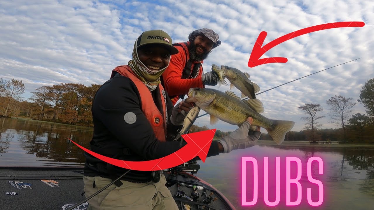 Big swimbait bass fishing. (KGB chad shad) - YouTube