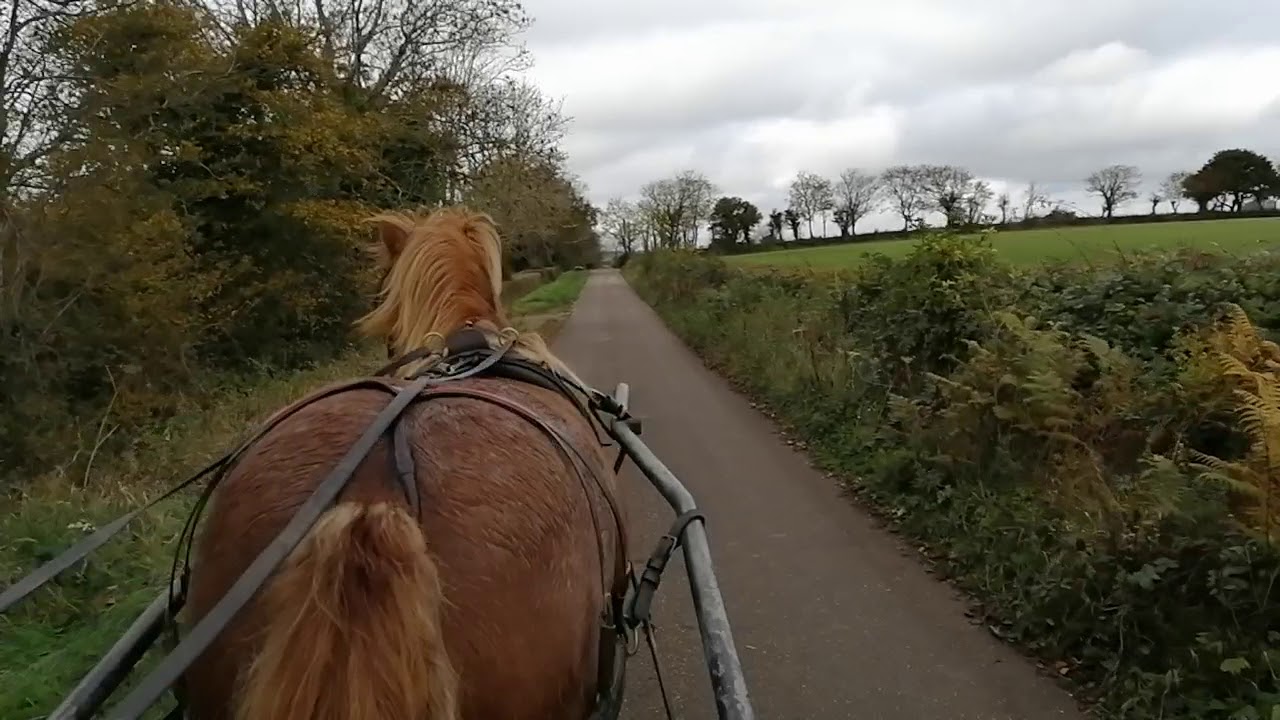 Short Tour of Membury Village, Blackdown Hills Near Axminster by Horse ...