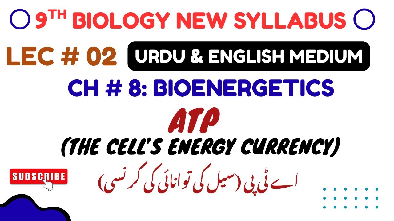 ATP | Cell's Energy Currency | Class 9 Biology Chapter 8 ...