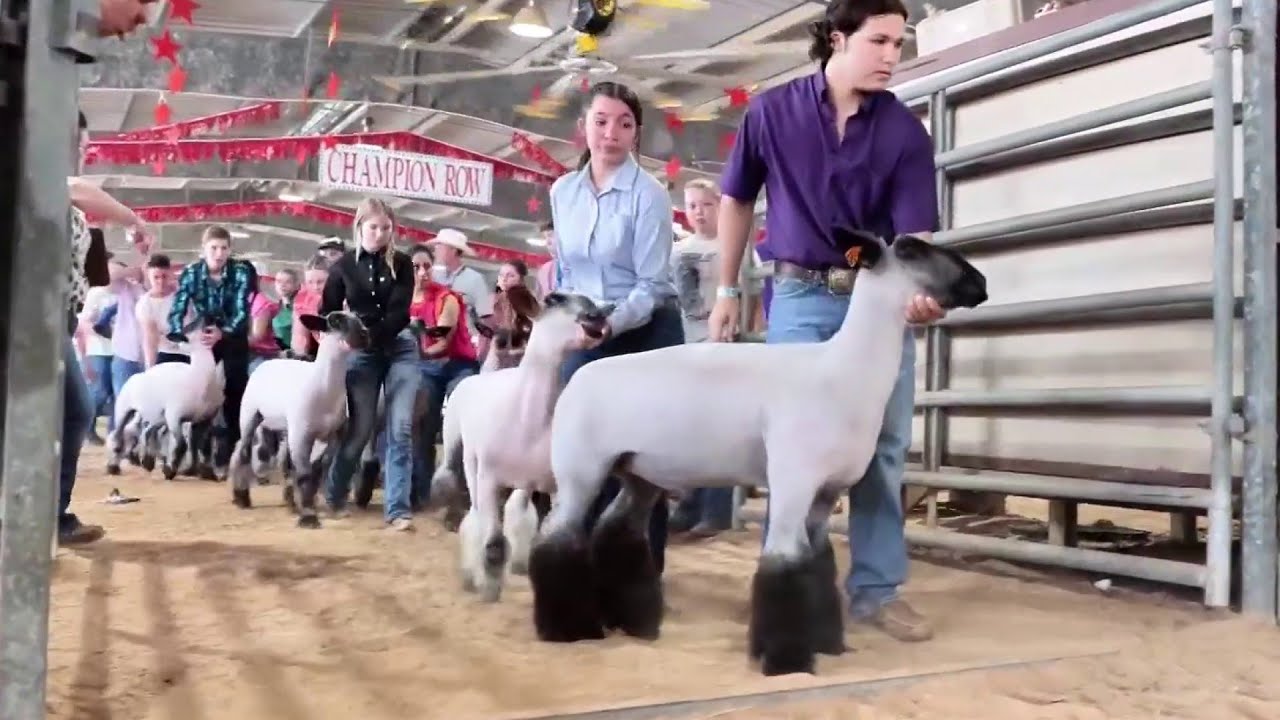 Galveston County Fair & Rodeo Kicks Off This Weekend! - YouTube