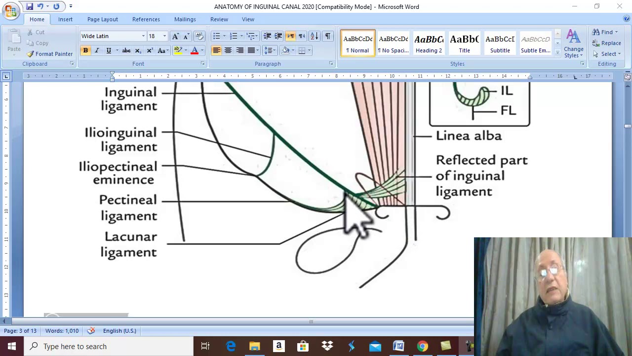 Anatomy GIT module 2020 ( Inguinal ligament ) , by Dr. Wahdan - YouTube