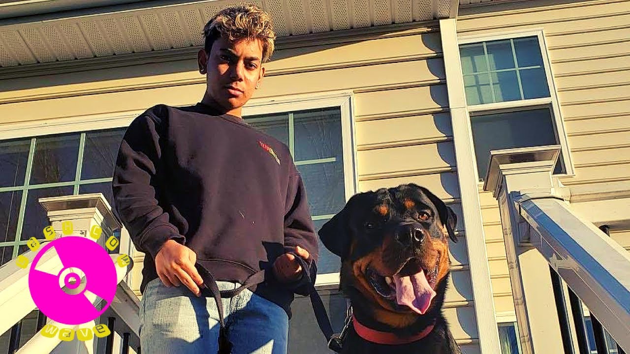 EGOVERT - APOLLO! (Prod. Mathiastyner) - YouTube