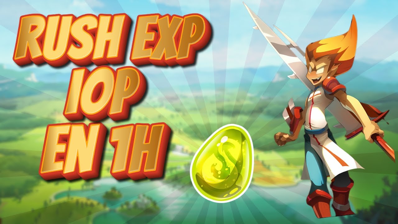 RUSH EXP DOFUS UNITY EN 1 HEURE / IOP (PAS SI FACILE?) - YouTube