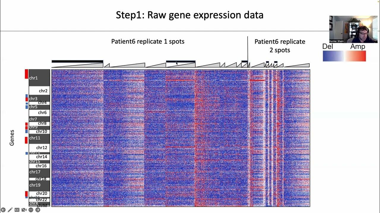 Detect Copy Number Variations On 10x Spatial Transcriptomics Data Youtube