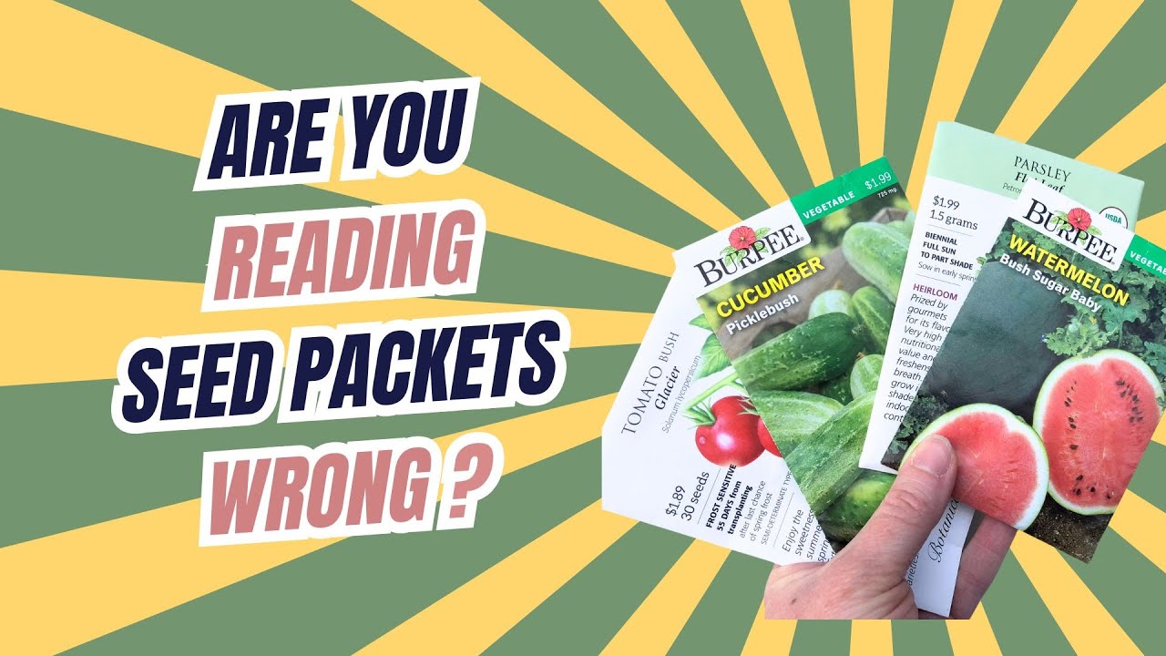 How to Read a Seed Packet: Essential Information for Successful ...
