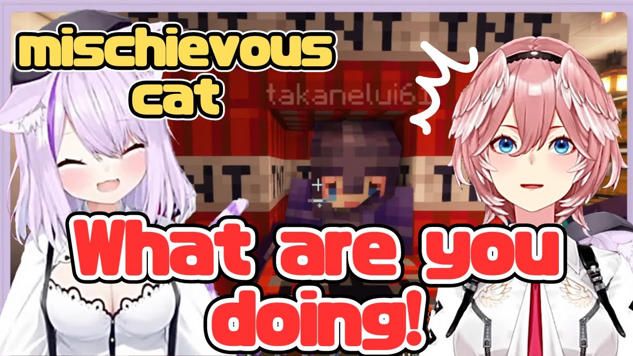 Okayu Keeps Playing Pranks on Lui with TNT[Hololive/EngSub] - YouTube