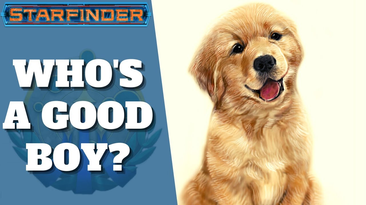 Using Animal Companions In Starfinder - YouTube