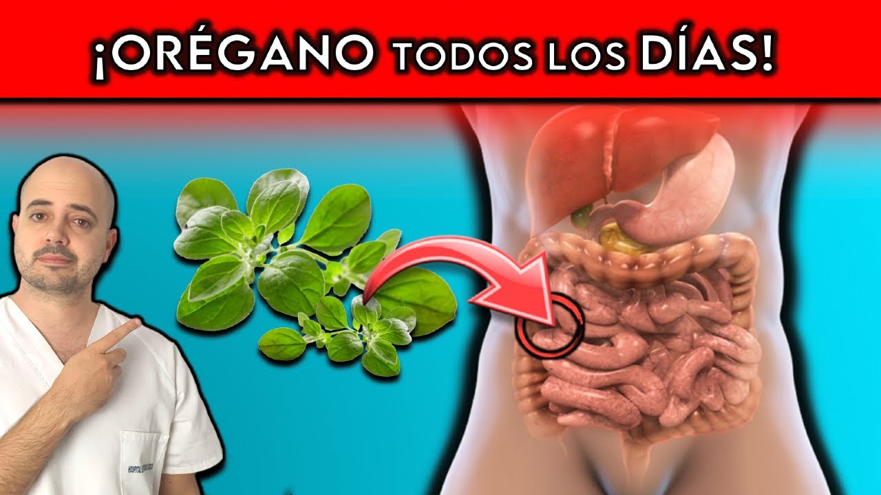 Por qué DEBES consumir OREGANO Todos los días? Importantes propiedades ...