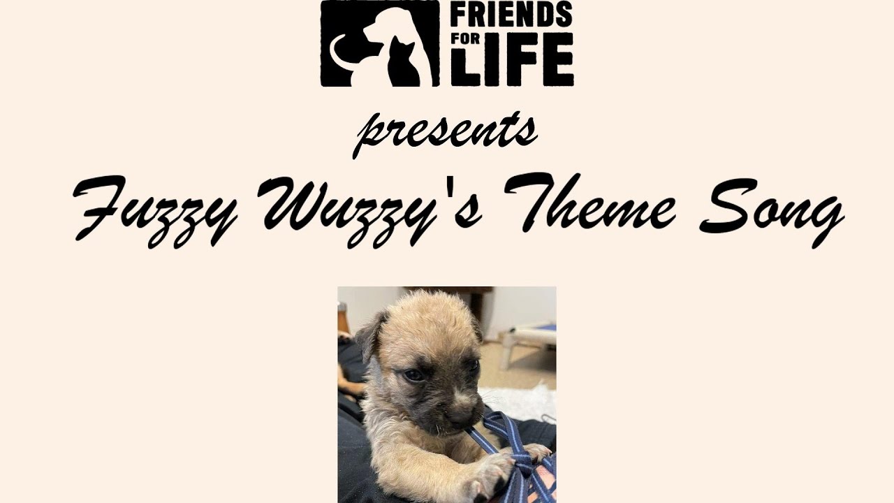 Fuzzy Wuzzy Theme Song - YouTube