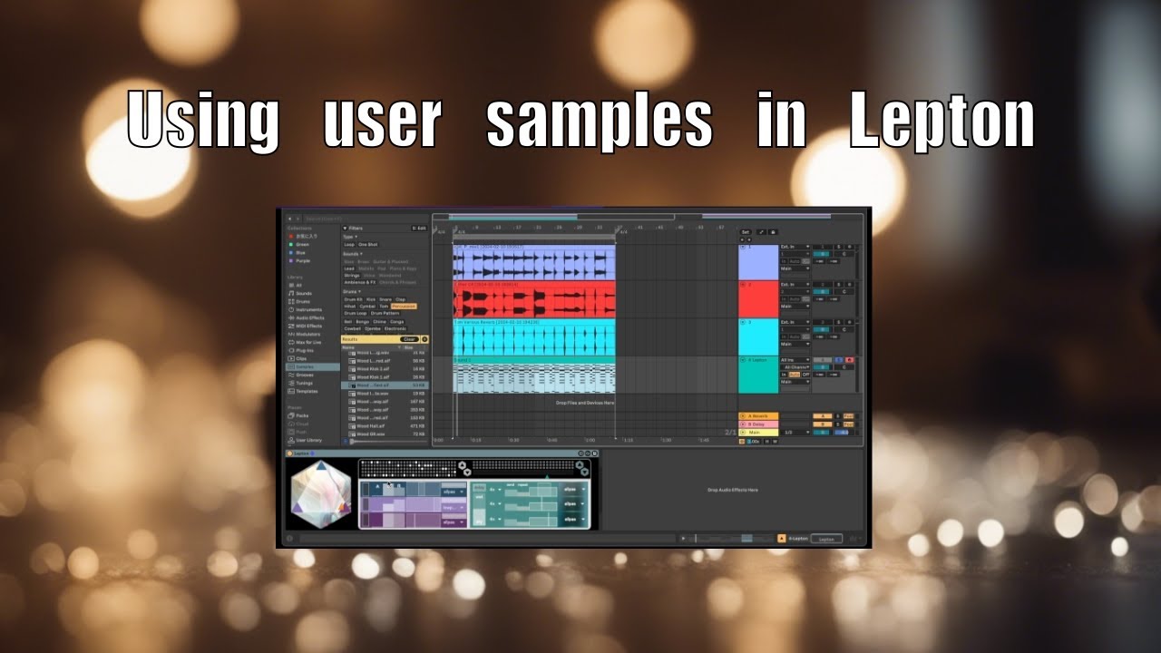 Using user samples in Lepton - YouTube