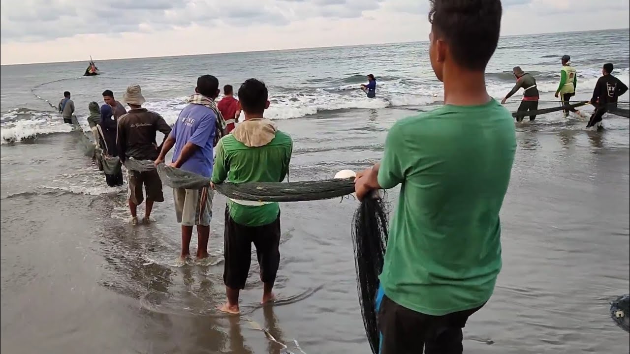 Jaring Lingkar Tepi Pantai Aceh, Panen Banyak Ikan LEMURU - YouTube