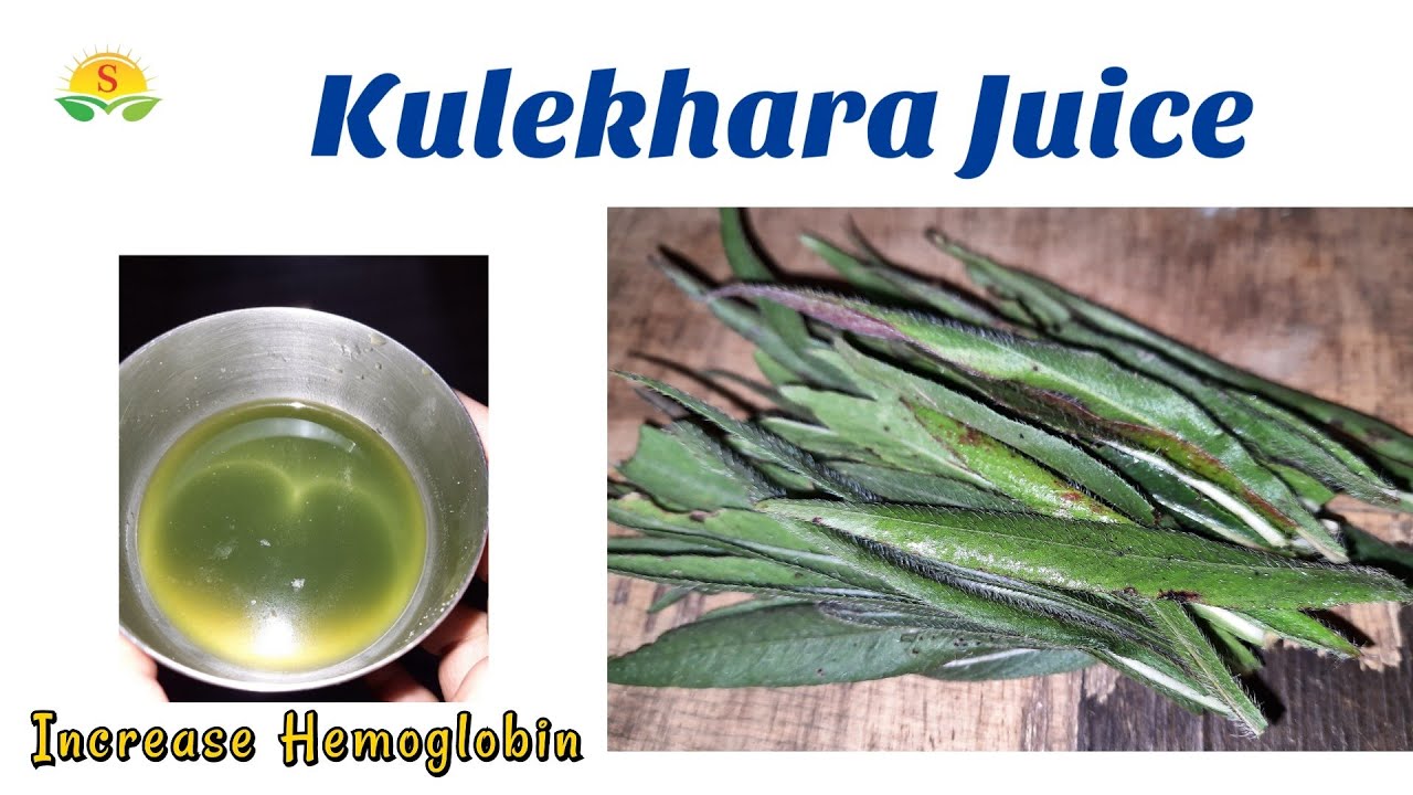 Kulekhara Pata ka Juice | Kulekhara Juice | Kulekhara Saag | Increase ...